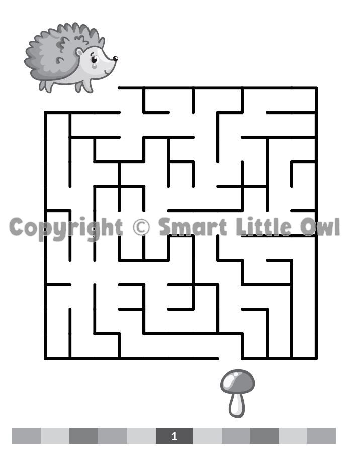 Activity Book For 5 6 Year Olds